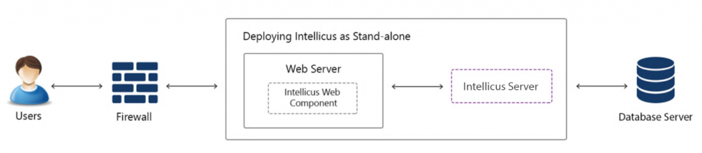 Deployment Scenarios | Intellicus Documentation
